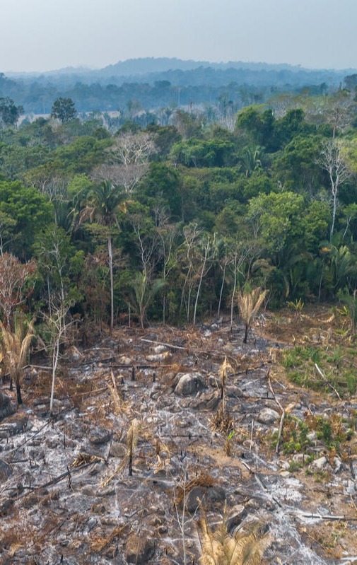 COP 15 - WWF Must Haves - Nature Positive