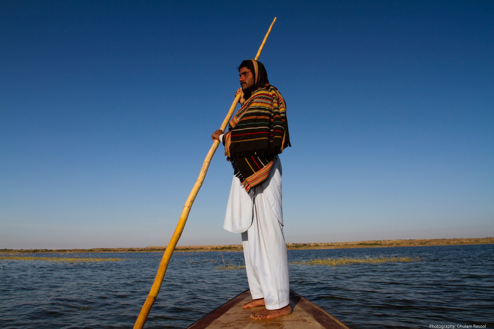 Conservation Pulse - WWF's latest conservation wins