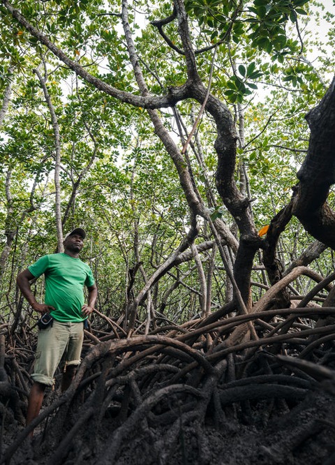 COP 15 - WWF Must Haves - Nature Positive